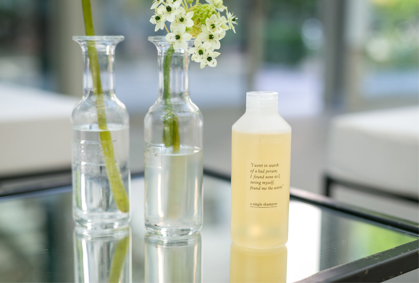 A Single Shampoo – Oblic.ca