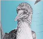 WELL-BEING – Oblic.ca